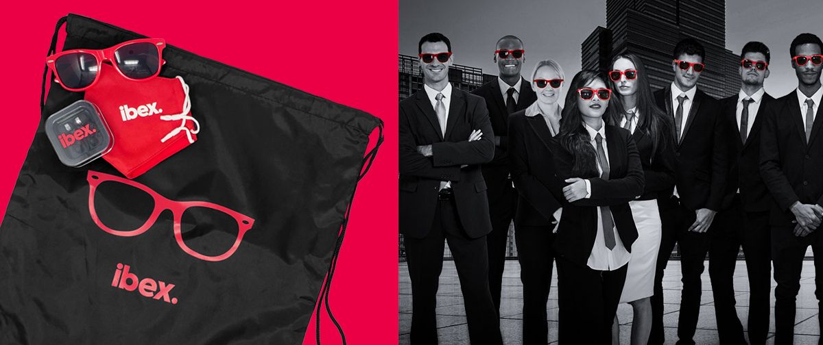 Case Study: Ibex Realizes Time Savings by Relying on Adform for Welcome ...